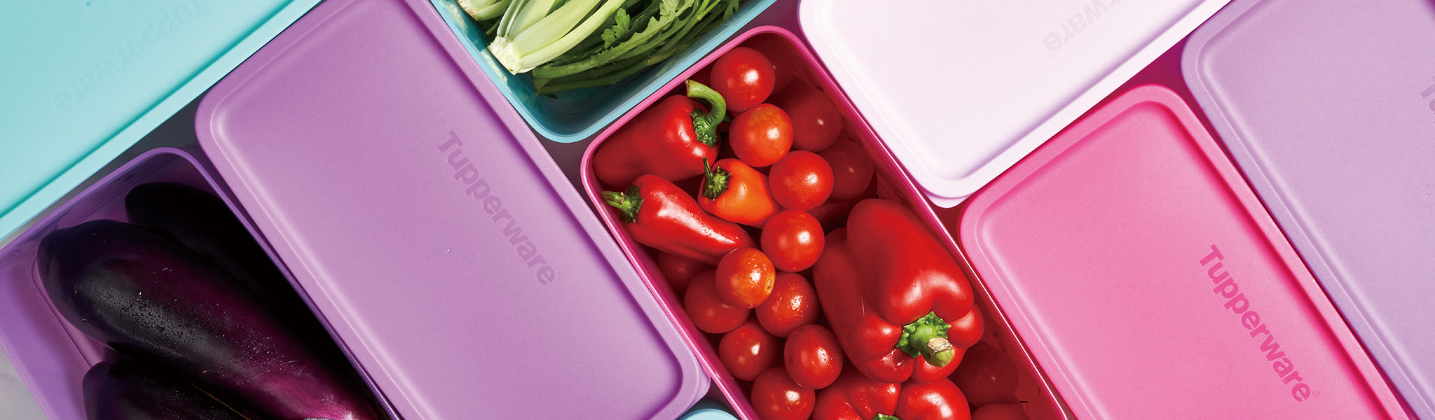 냉장실 저장용기 – Page 2 – 타파웨어 공식 온라인 스토어