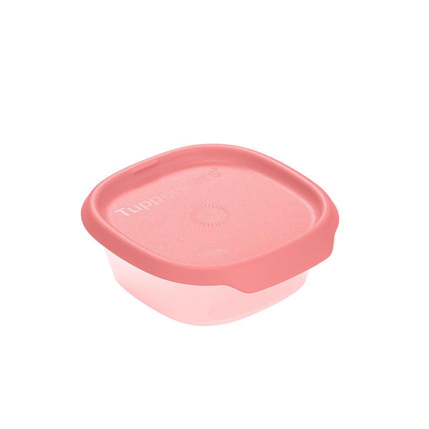 타파웨어 공식 온라인 스토어 | Tupperware Brands Korea